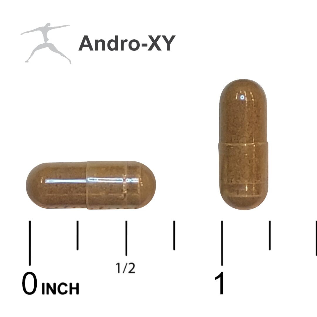 Andro-XY Plus - 120 Capsules | Healthy Habits Living