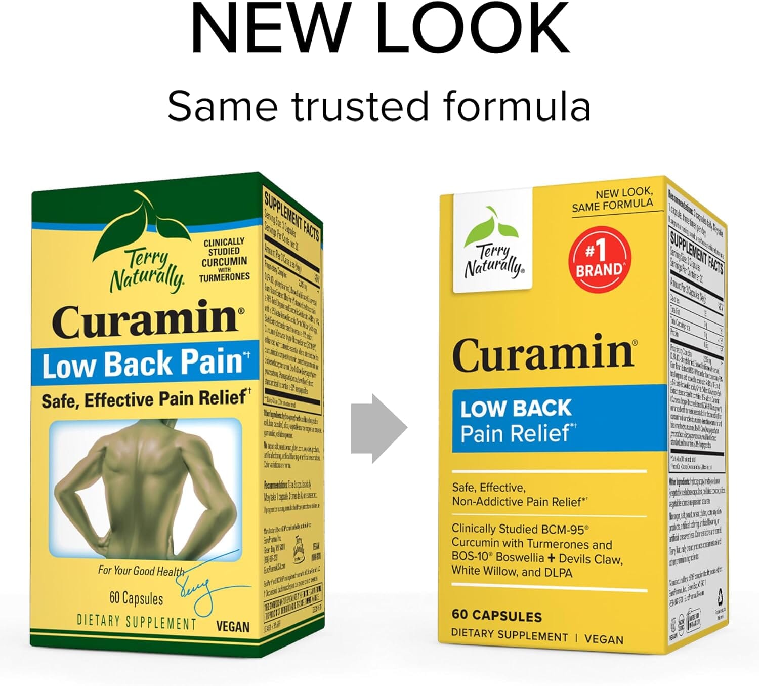 Curamin Low Back Pain - 60 Capsules | Healthy Habits Living