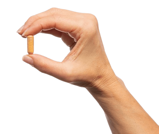 Ceralin_Sizing-removebg-preview_1200x1200.png?v=1744227871