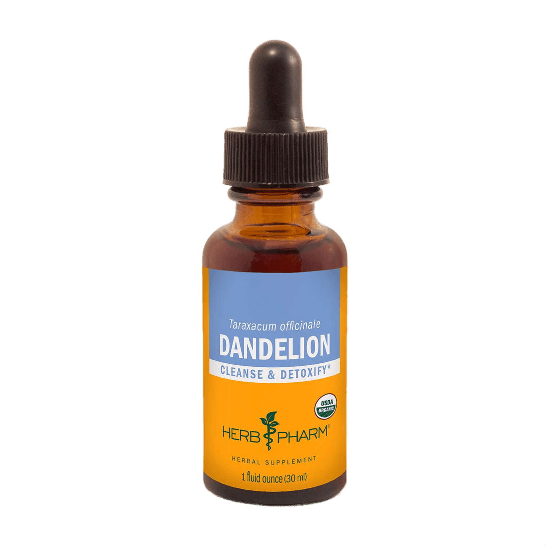 Dandelion | Healthy Habits Living