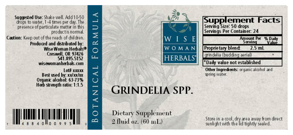 Gumweed (Grindelia spp.) | Healthy Habits Living