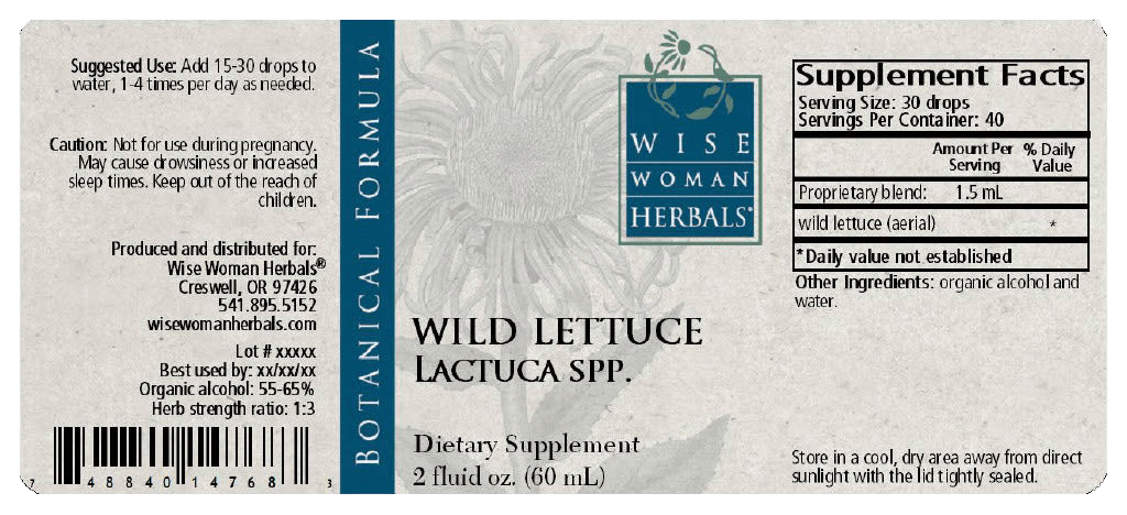 Wild Lettuce (Lactuca spp.) | Healthy Habits Living