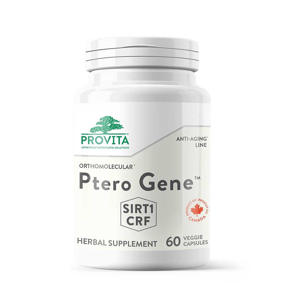 PTEROGENE_1200x1200.png?v=1715820804