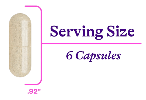 Optimal Prenatal MF - 180 Capsules Default Category Seeking Health