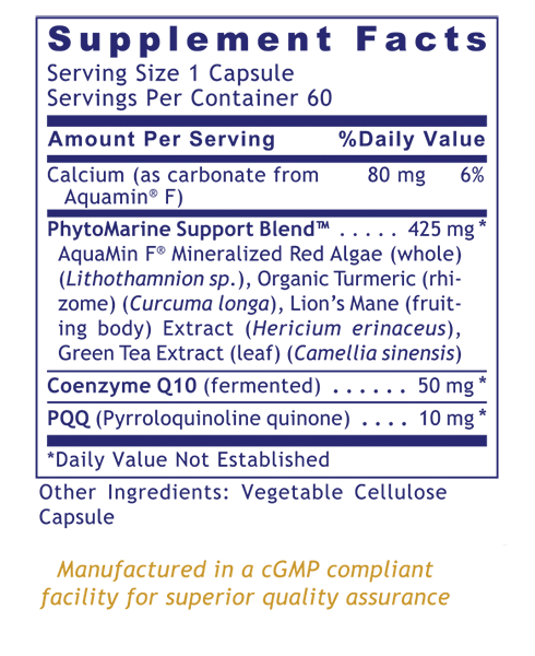 PQQ Complex - 60 Capsules | Healthy Habits Living