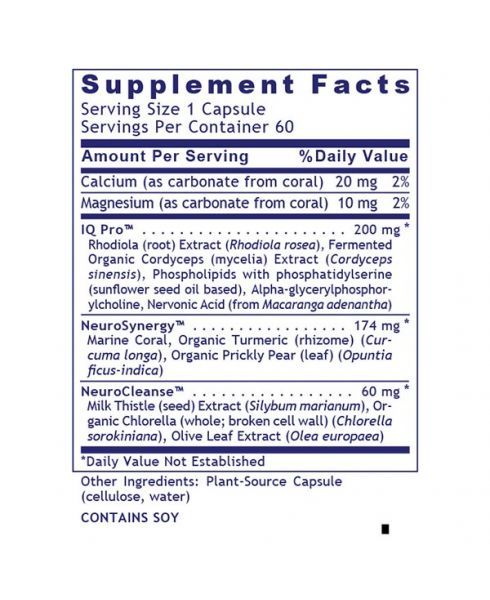 CereVen - 60 Capsules | Healthy Habits Living