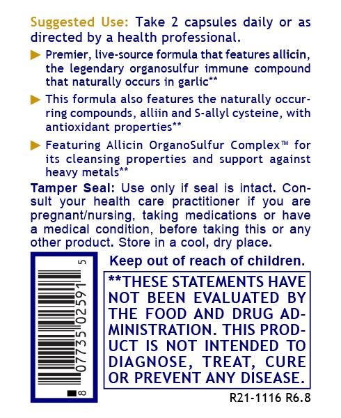 Allicidin - 60 Capsules | Healthy Habits Living