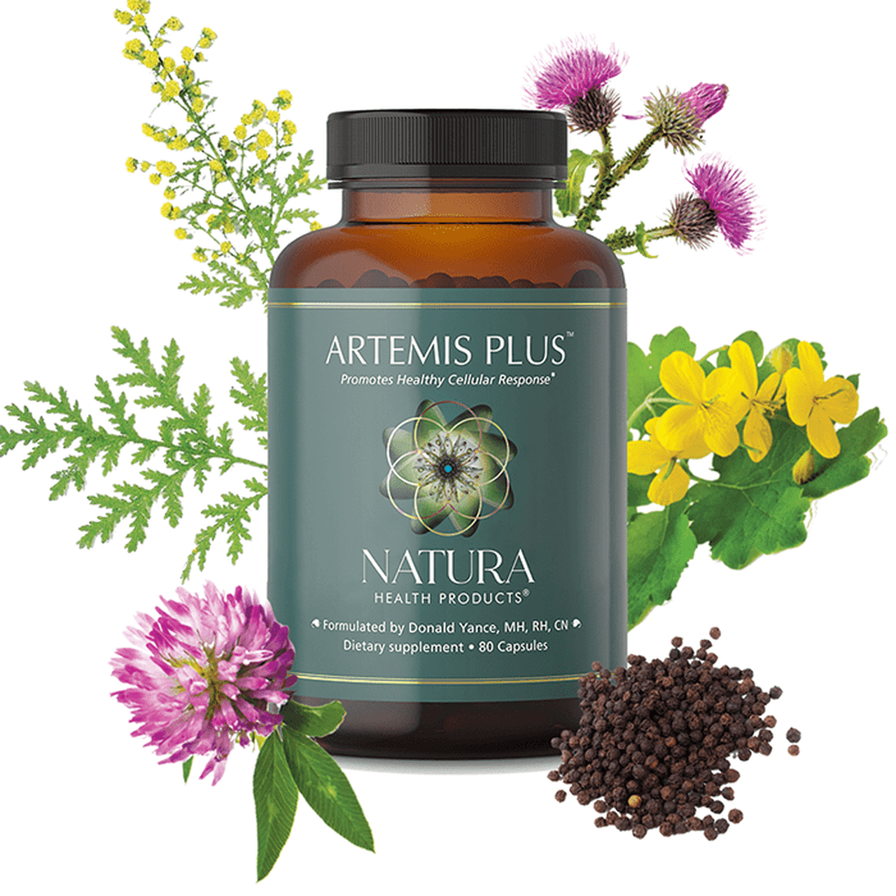 Artemis Plus® - 80 Capsules | Healthy Habits Living