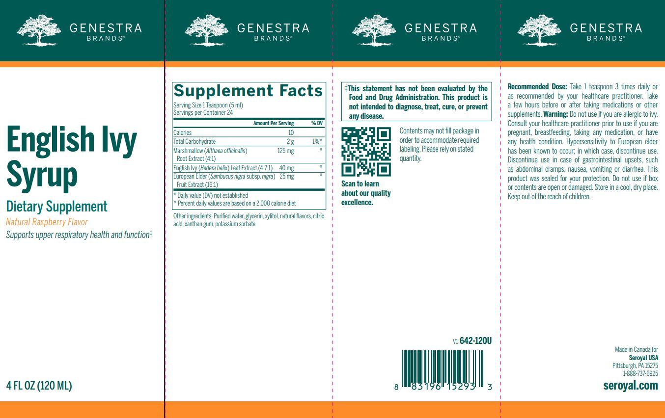 English Ivy Syrup - 4 fl oz | Healthy Habits Living