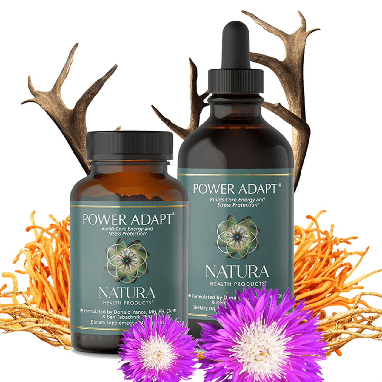 Power Adapt - 60 Capsules – Healthy Habits Living