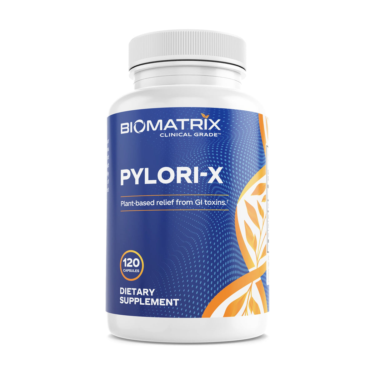 Pylori-X - 120 Capsules | Healthy Habits Living