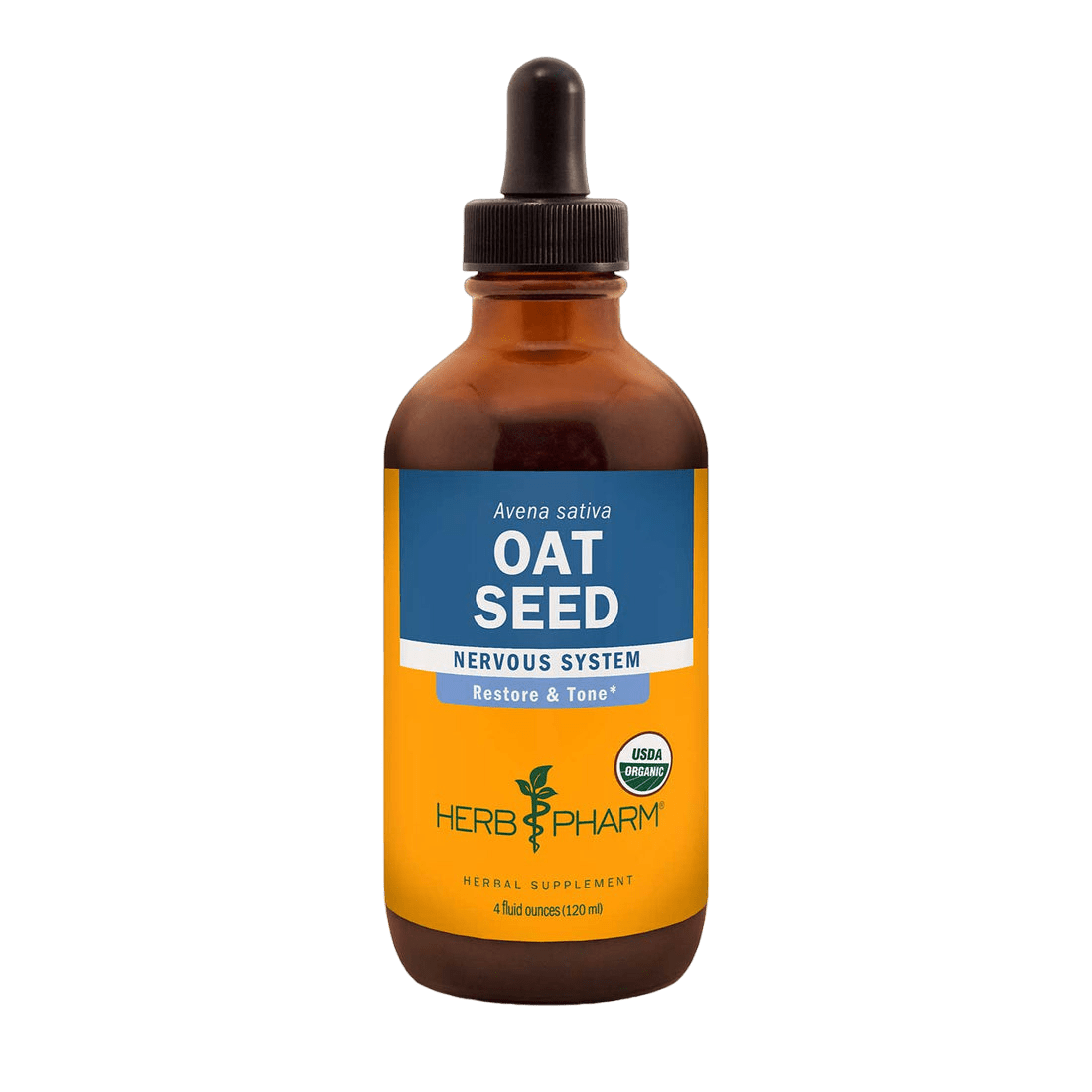 Oat Seed | Healthy Habits Living