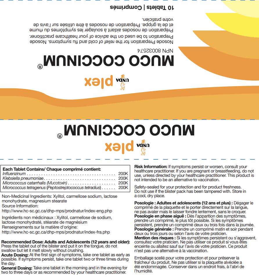 Muco Coccinum 200 - 10 Tablets | Healthy Habits Living