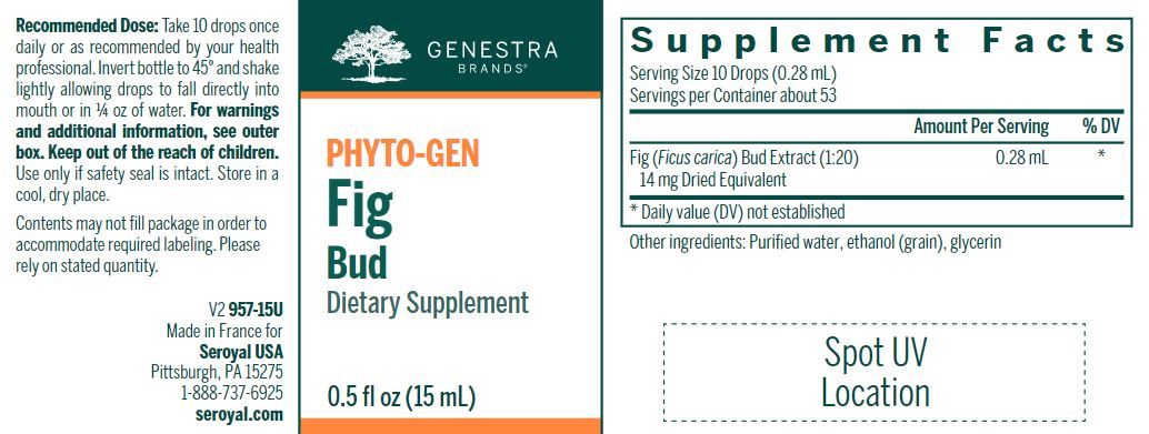 Fig Bud - 0.5oz | Healthy Habits Living